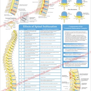 Vertebral Subluxation Effects Complex Spinal Degeneration Poster Cervical Lumbar Spine ...