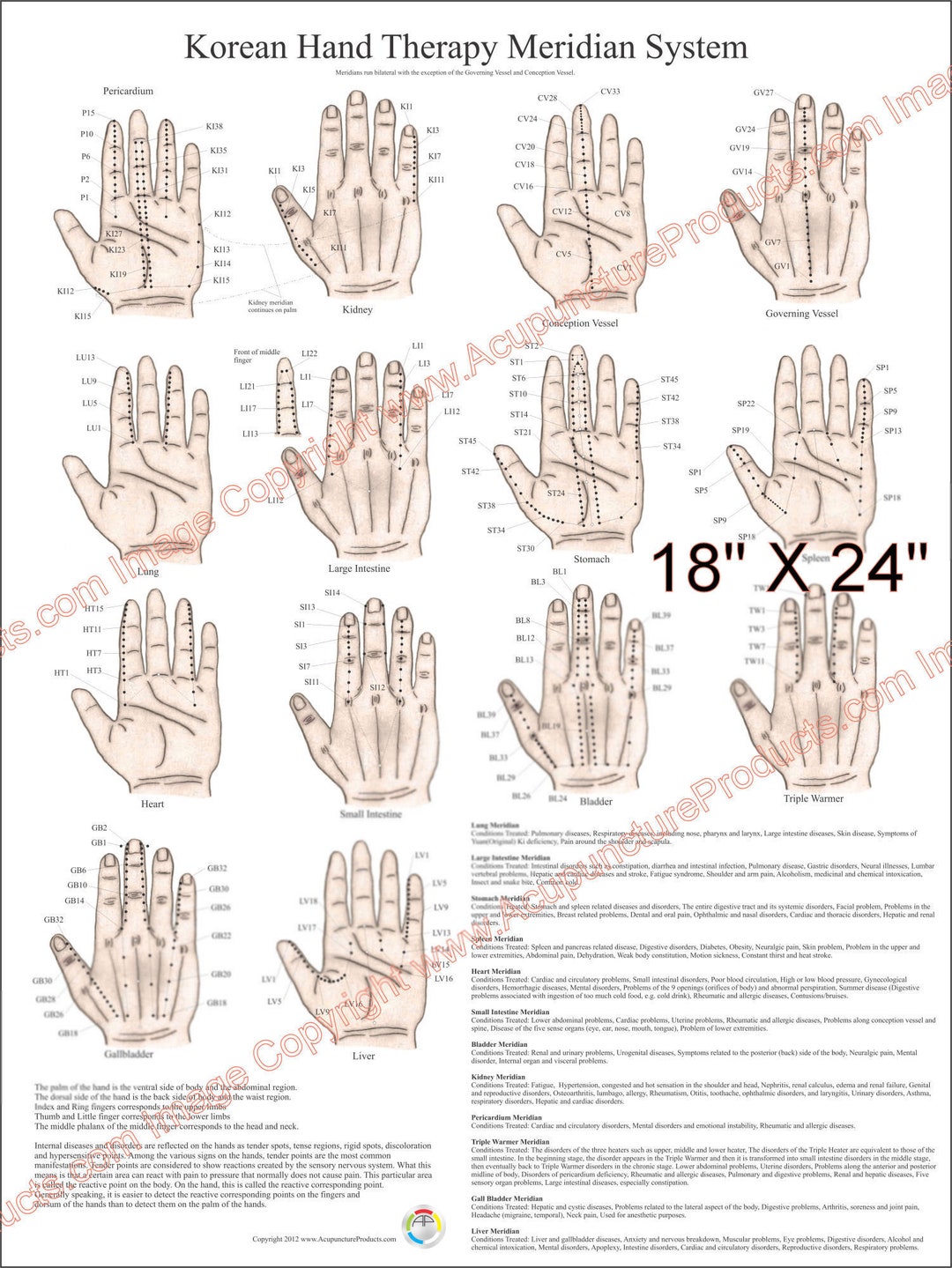 Korean Hand Therapy Acupuncture Meridian Point System Poster 18" X 24 ...
