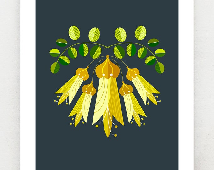 New Zealand Native Flowers Clipart Kowhai Flowers Transparent Pngs Kiwi ...