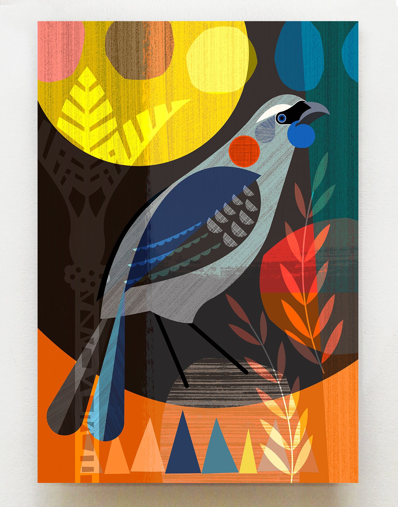 New Zealand Kokako bird NZA54