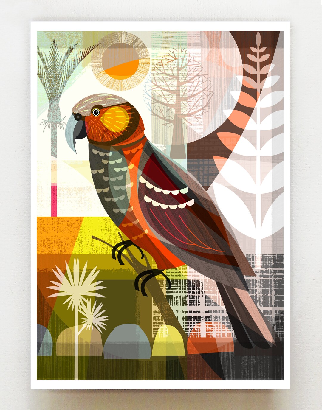 New Zealand Kaka Bird, NZA130 - Etsy