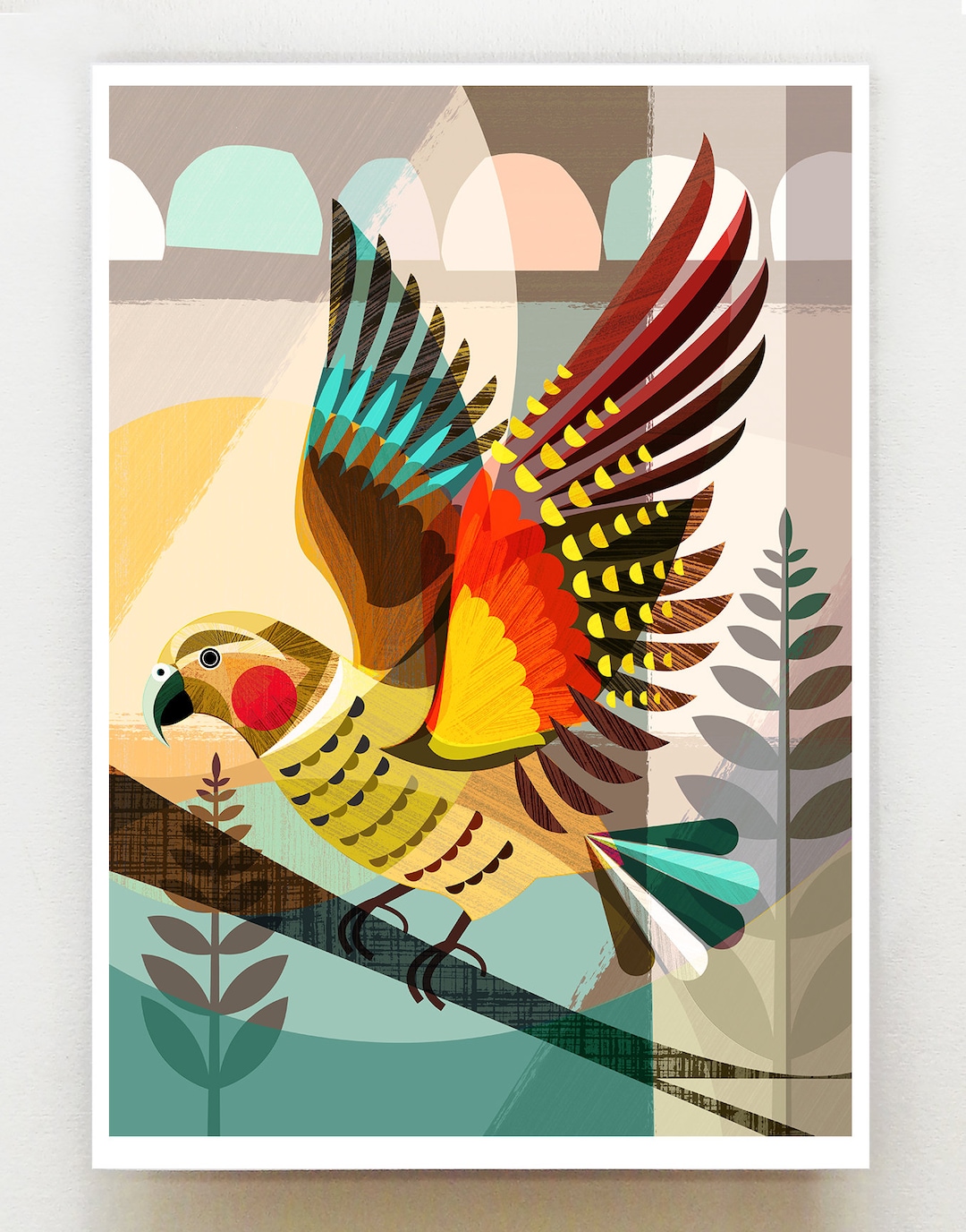 New Zealand Native Kea, Print, NZA65 - Etsy