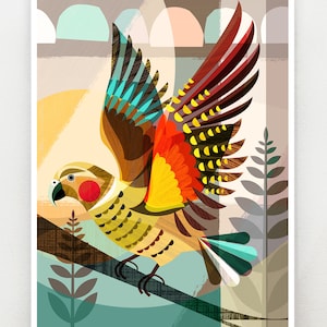 New Zealand Native Kea, Print, NZA65 - Etsy
