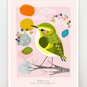 Small Birds of New Zealand, Titipounamu, Rifleman, Print, NZA107 - Etsy