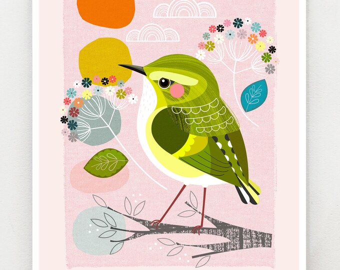 Small Birds of New Zealand, Titipounamu, Rifleman, Print, NZA107 - Etsy