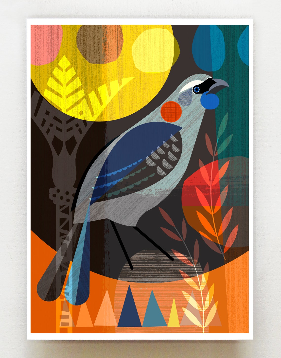 New Zealand Kokako Bird NZA54 - Etsy
