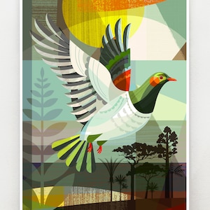 The Flight of the Kereru, New Zealand Native Bird Print, NZA109 - Etsy
