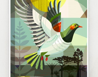 Kereru Bird, New Zealand Native Wood Pigeon Illustration, Print - Etsy ...