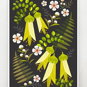 New Zealand Kowhai, Print, NZA197 - Etsy