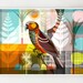 Landscape, New Zealand, Kaka Bird, NZA174 - Etsy