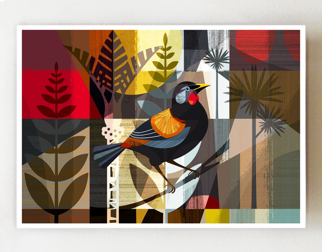 New Zealand Saddleback (native Bird) Print, NZA92 - Etsy
