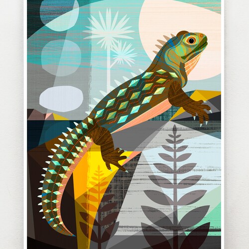 New Zealand Bird Wall Art Native Kereru Wood Pigeon - Etsy