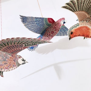 Pop up Bird Kit - the Parrot - Etsy