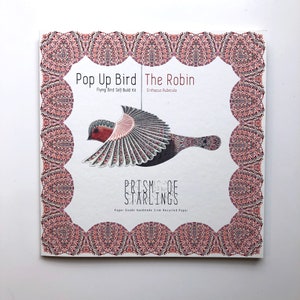 Pop up Bird Kit - the Robin - Etsy