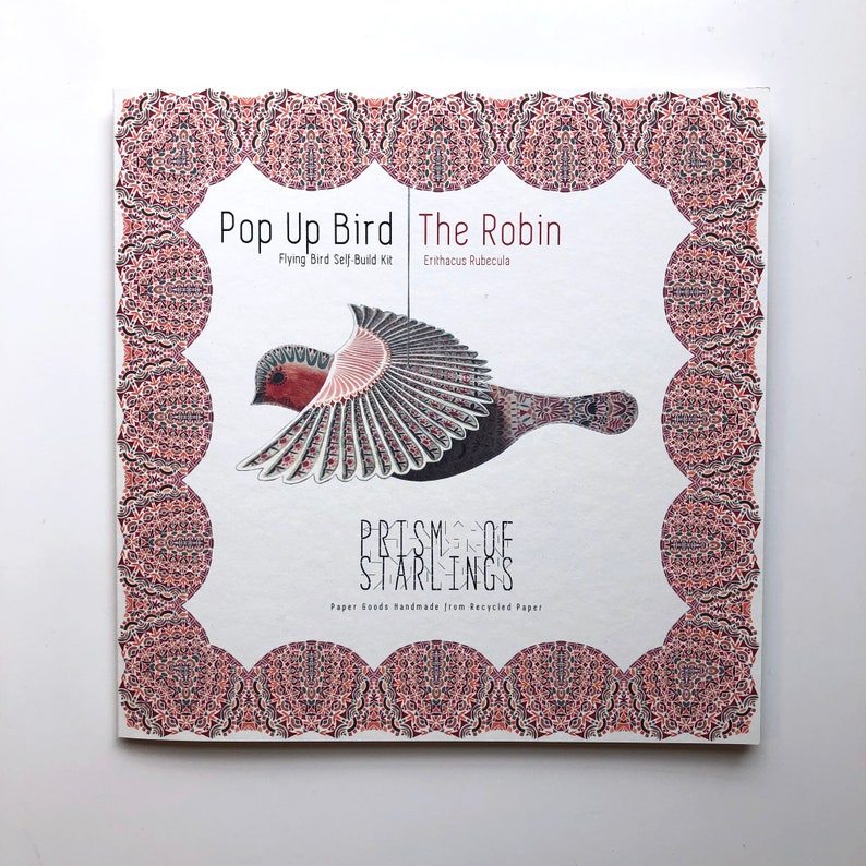 Pop up Bird Kit - the Robin - Etsy