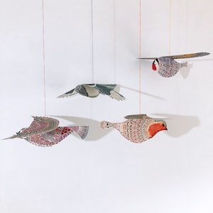 Pop up Bird Kit - the Sparrow - Etsy