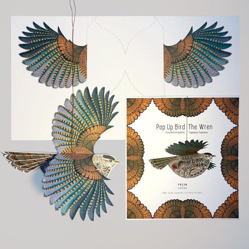 Pop up Bird Kit - the Wren - Etsy