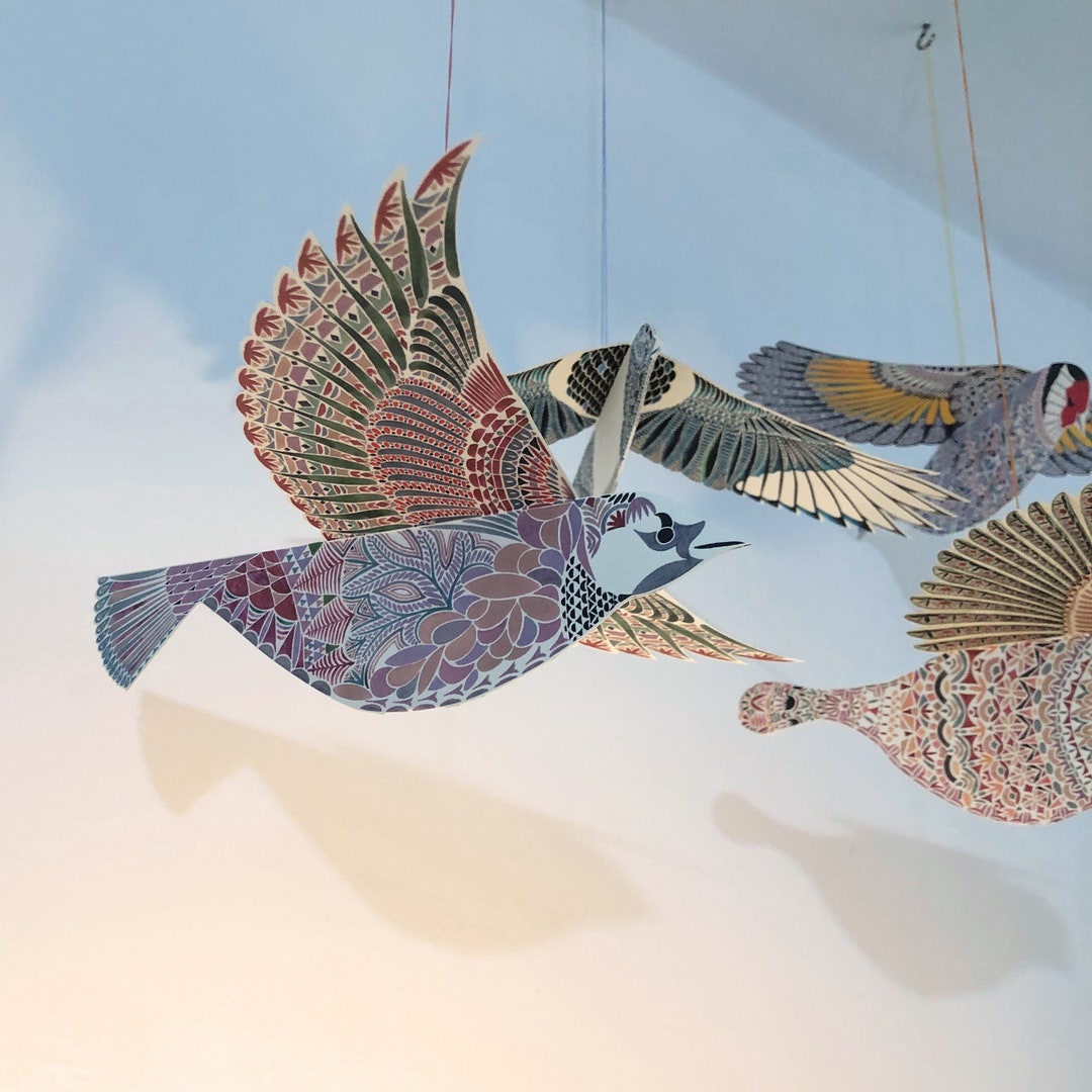 Pop up Bird Kit - the Sparrow - Etsy