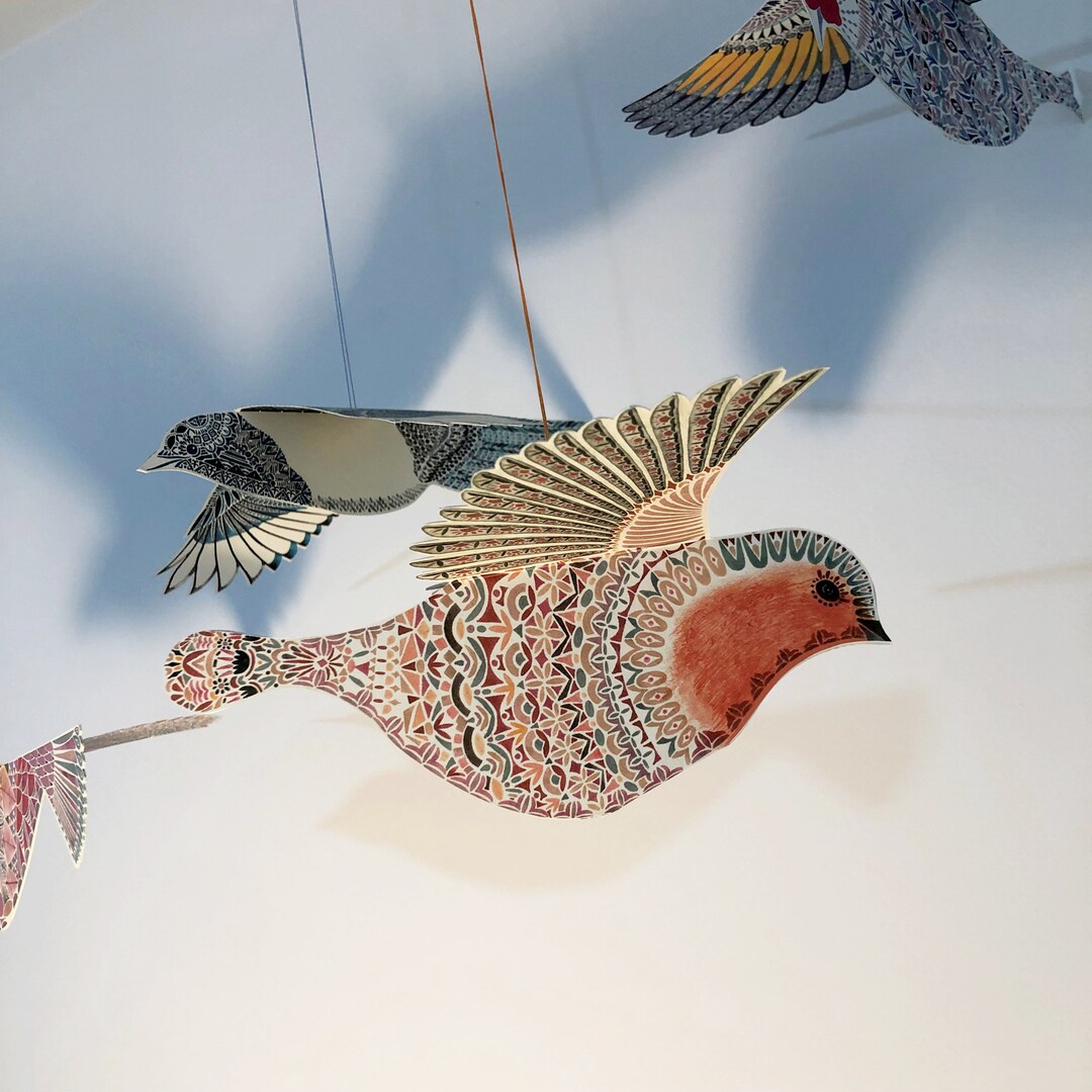 Pop up Bird Kit - the Robin - Etsy