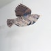 Pop up Bird Kit - the Starling - Etsy UK