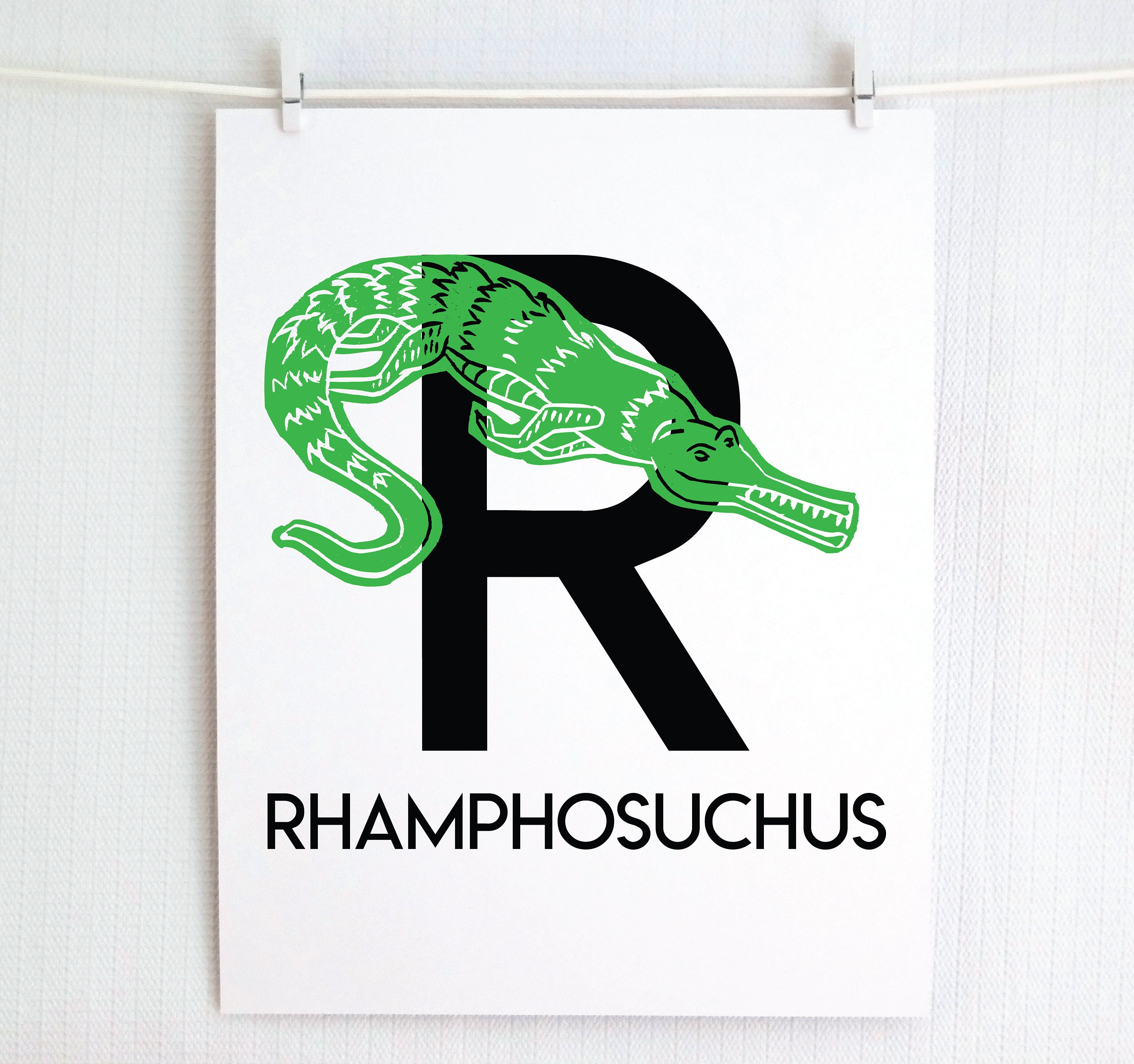 Rhamphosuchus