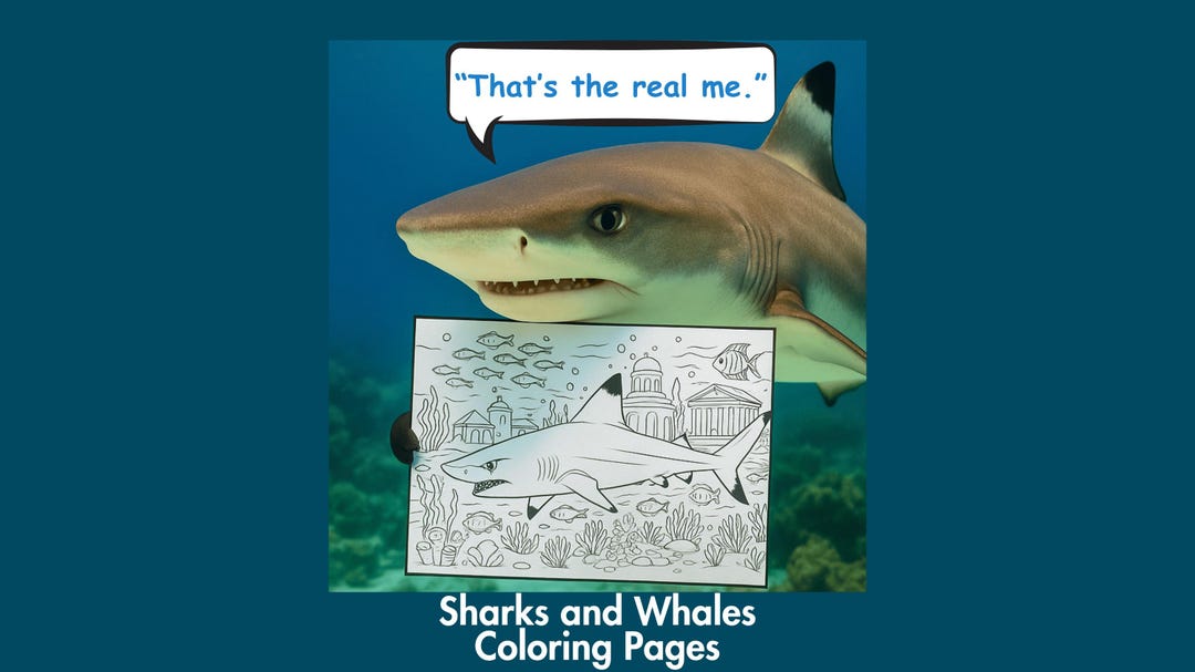 Shark & Whale Coloring Pages | Ocean Animals Sheets for Kids ...