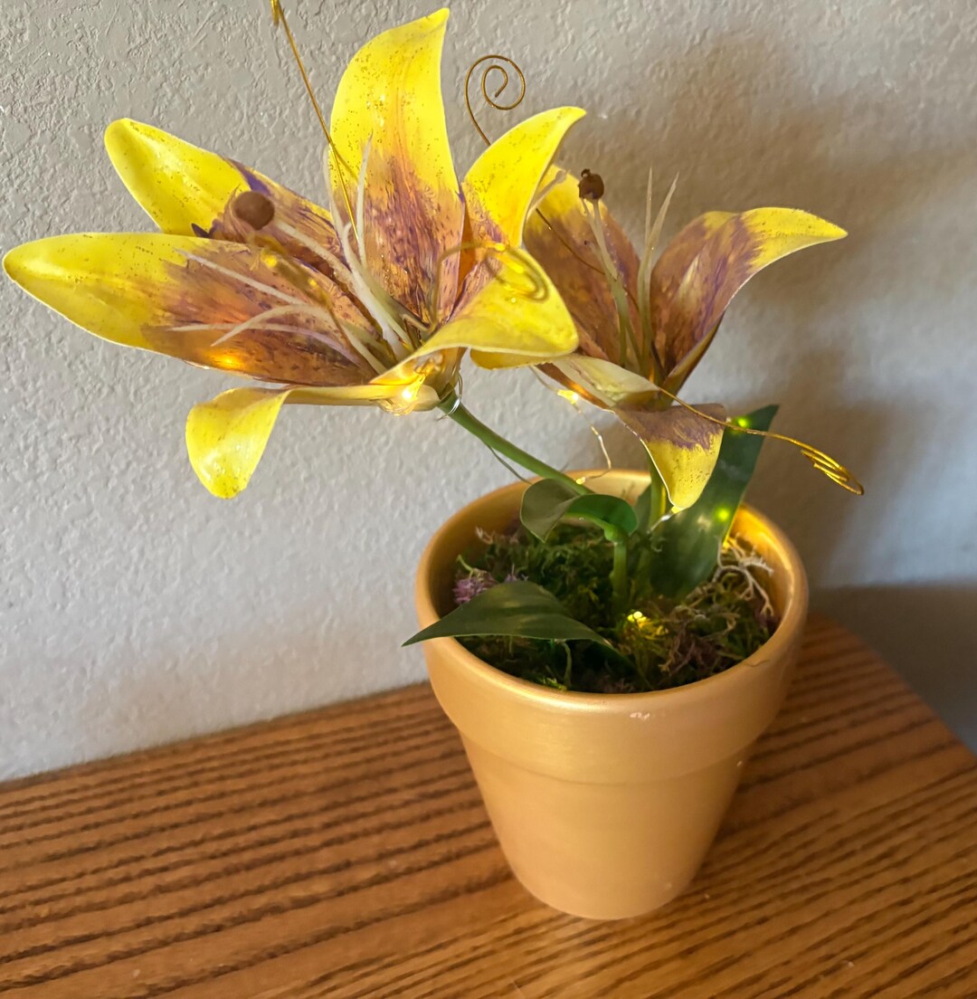 Tangled Sundrop Flower - Etsy