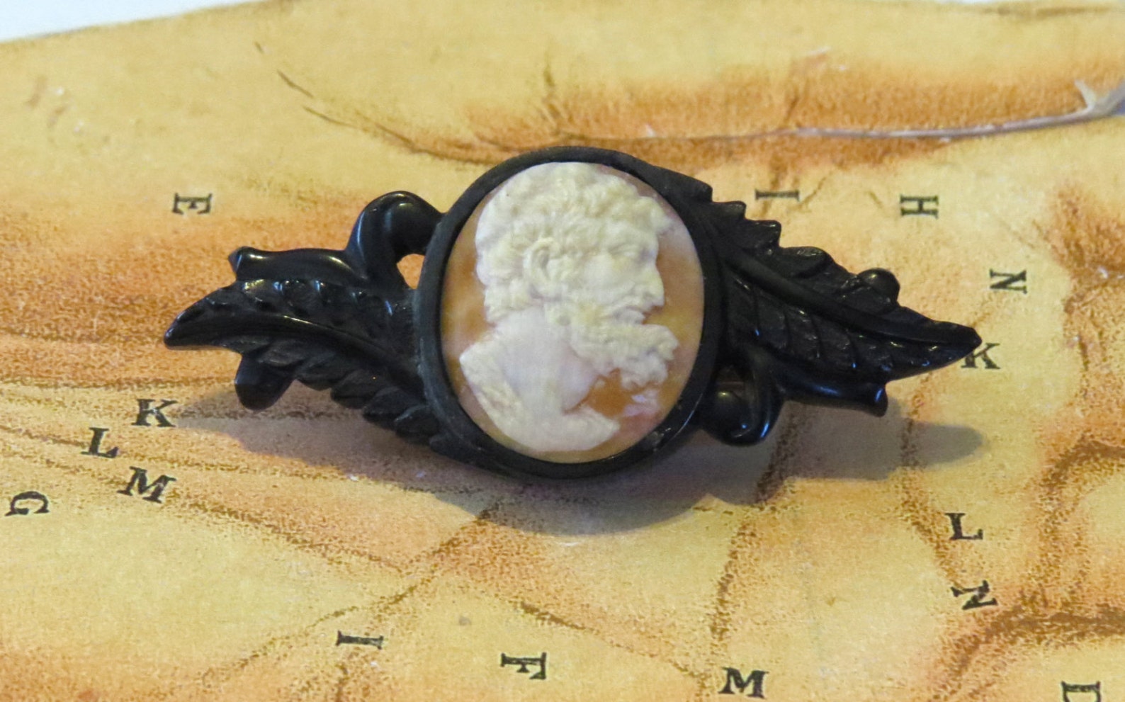 Rare Victorian Mourning Whitby Jet & Shell Brooch W Zeus Cameo - Etsy