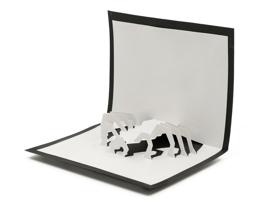 Spider 3D Pop up Card: Spooky Halloween Greeting, Insect Lover Gift - Etsy