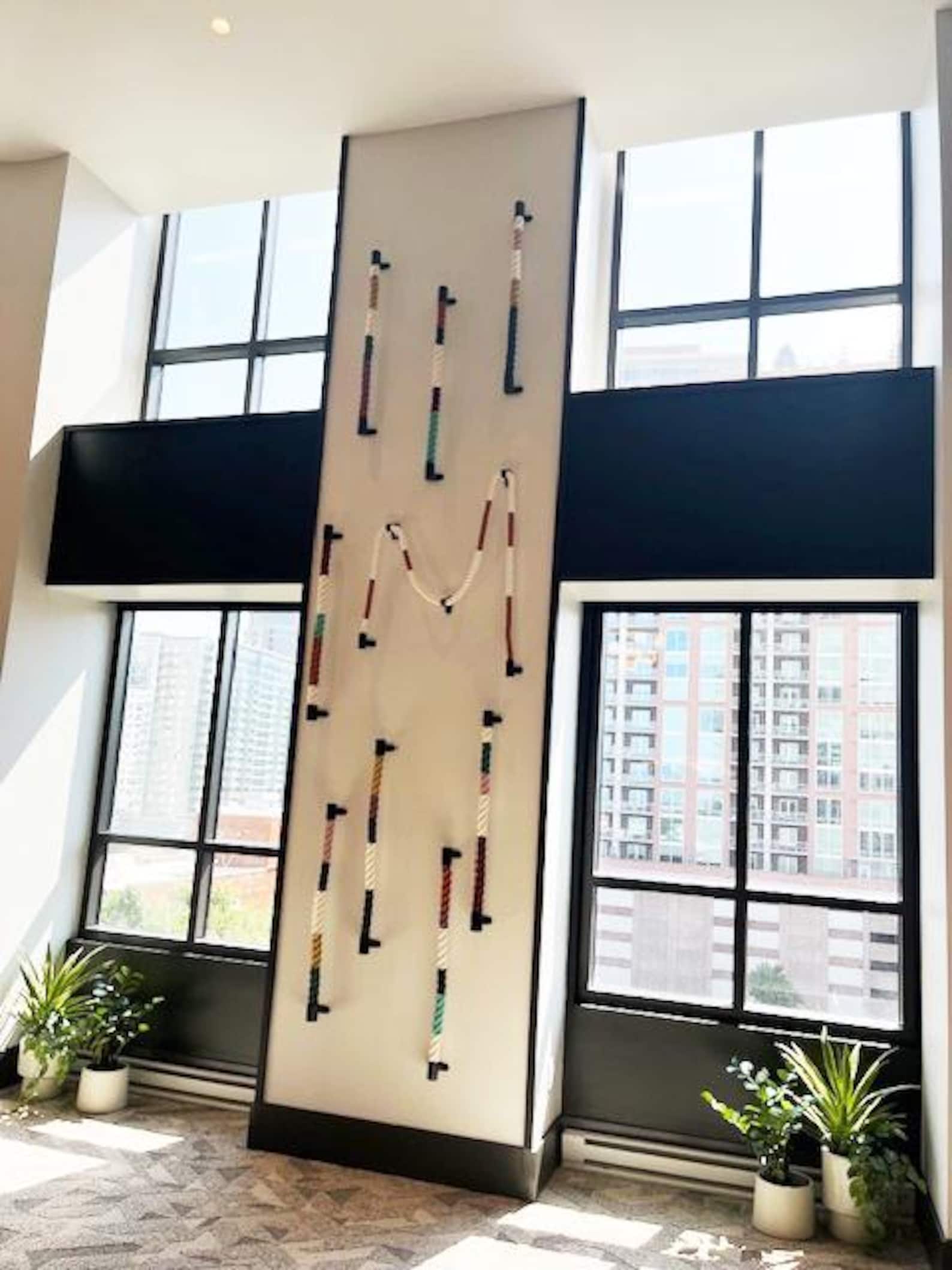 MADE TO ORDER - Vertical Painted Rope Sculptural Installation - Etsy