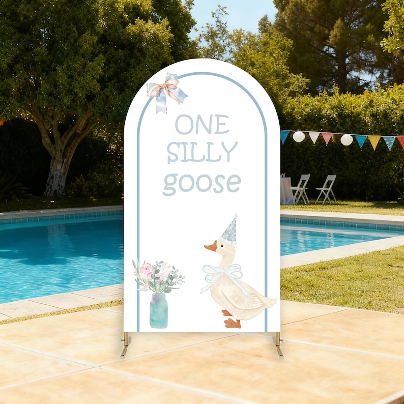 Silly Goose 1st Birthday Arched Backdrop Cover – Blue Gingham Party ...