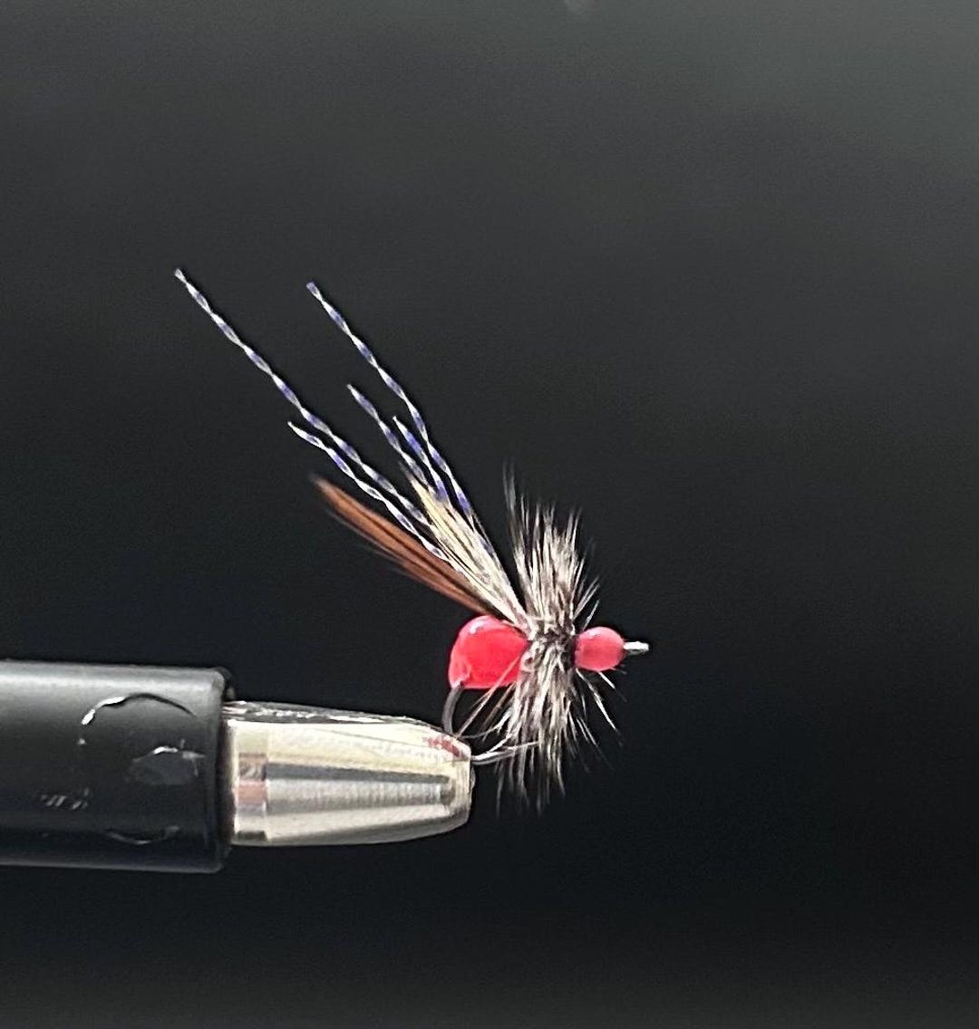The Scarlet Whispe Ant ( 4 Pack ) - Etsy