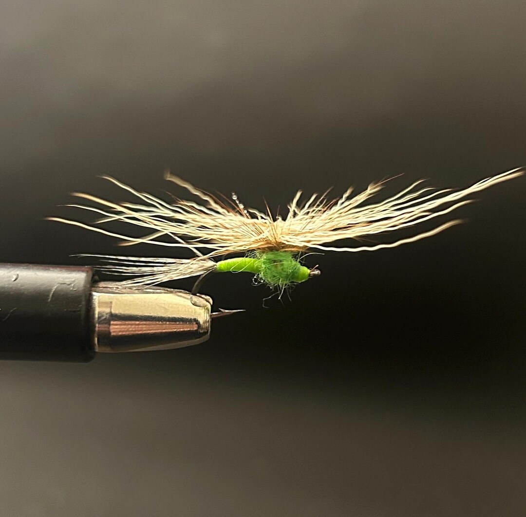 The Neon Willow Parachute ( 4 Pack) - Etsy