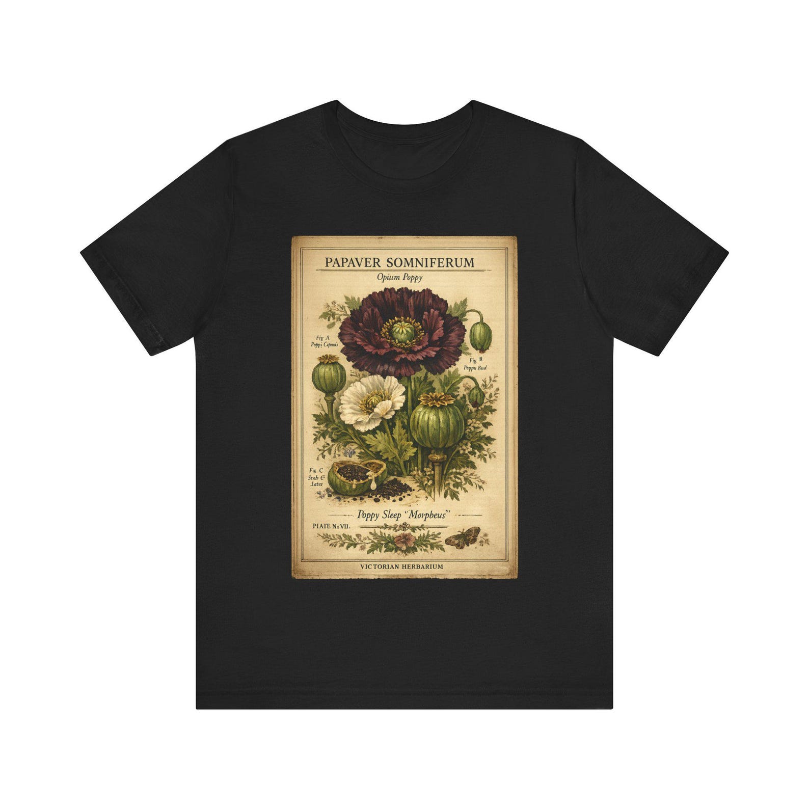 Vintage Poppy Botanical Print Tee | Floral Illustration Shirt - Etsy