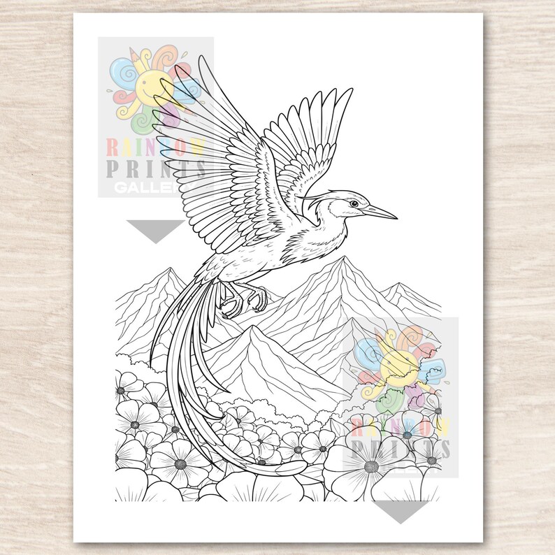 Beautiful Bird Coloring Pages for Kids and Adults, Realistic Feathered ...