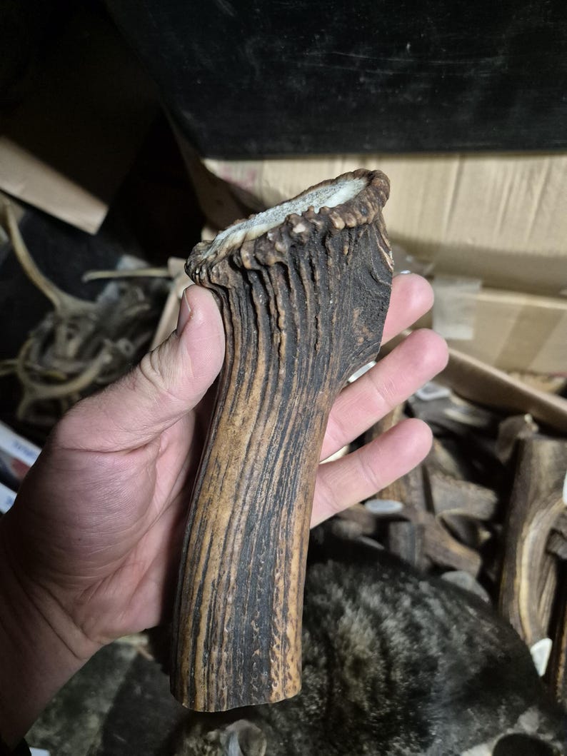 Deer Antlers for Dogs, Thick Horns, Chew Toy - Etsy