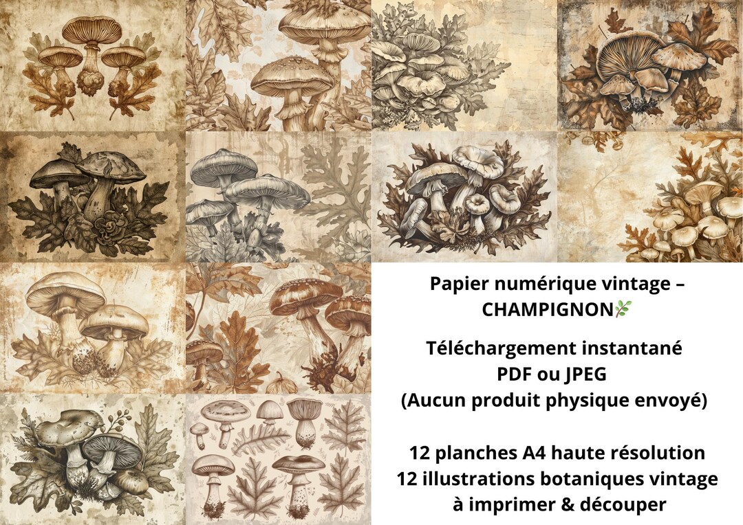 Vintage Mushroom Digital Paper – 12 A4 Sheets Fungi Ephemera Botanical ...
