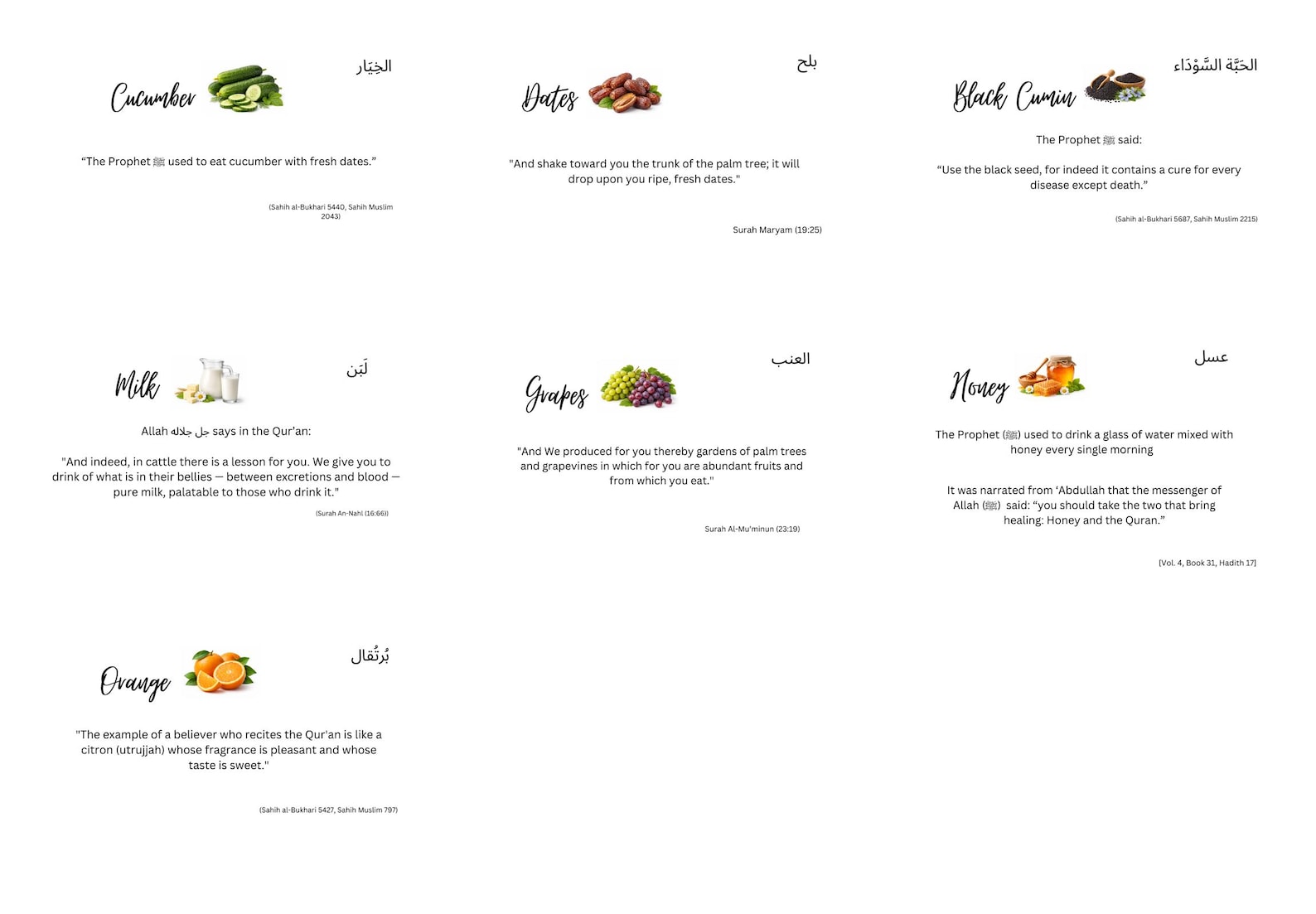 Sunnah Set up Foods Cards | Islamic Nutrition Printables | Quran ...