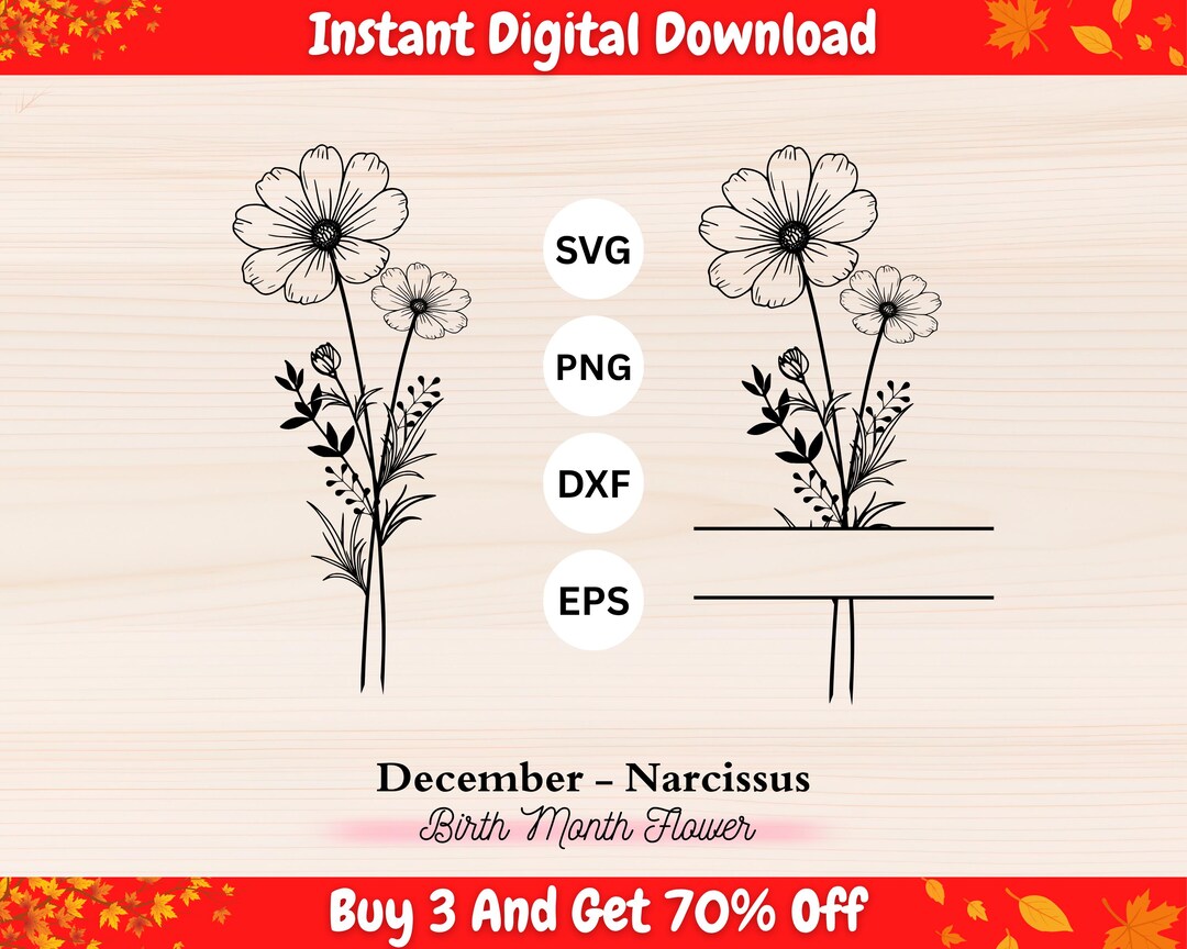 October Birth Flower Cosmos SVG | Delicate Floral Line Art (digital ...