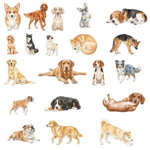 Watercolor Action Dogs Clipart | Playful Poses, Kids Art (PNG) - Etsy