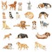 Watercolor Action Dogs Clipart | Playful Poses, Kids Art (PNG) - Etsy