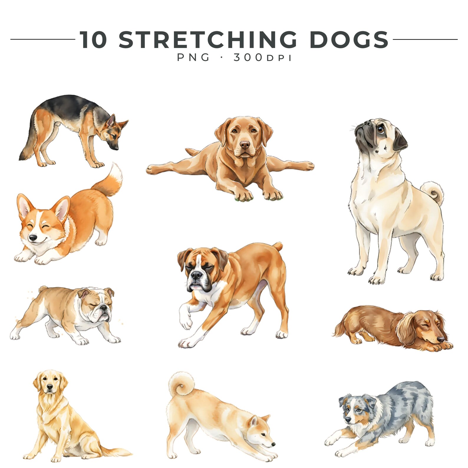 Watercolor Action Dogs Clipart | Playful Poses, Kids Art (PNG) - Etsy