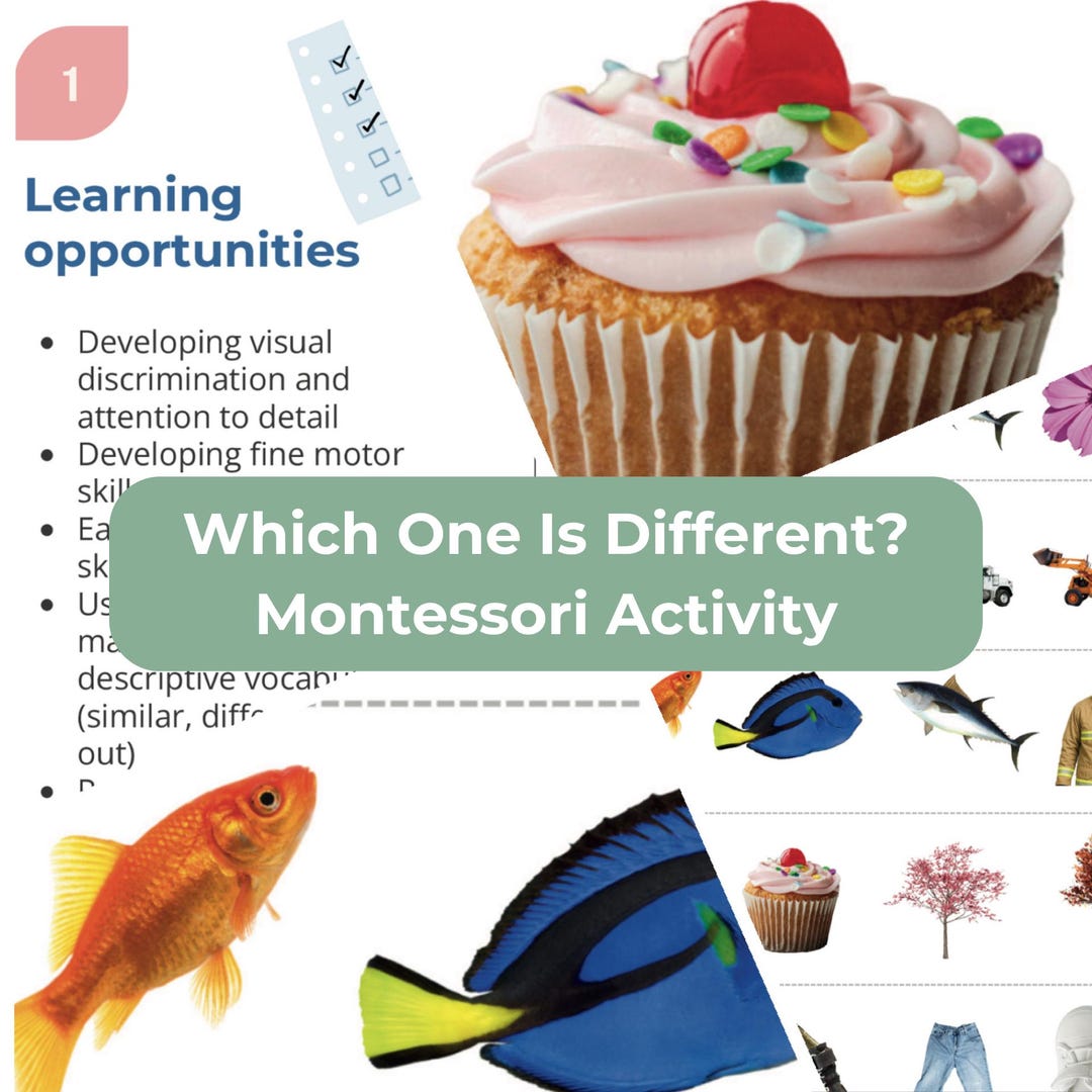 Which One is Different? Montessori Odd One Out Activity (printable PDF ...