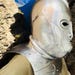 Medieval Full Face Steel Helmet for Display or Cosplay - Etsy