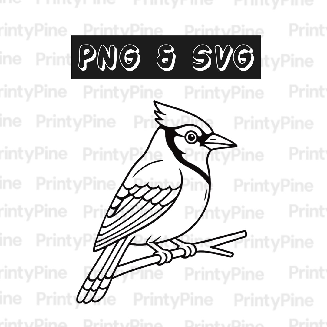 Blue Jay SVG & PNG | Laser File | Cricut File | Digital Download - Etsy ...