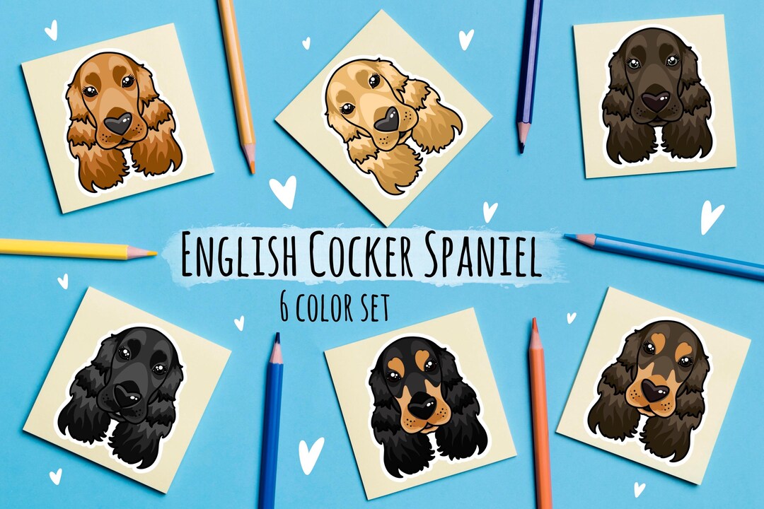 English Cocker Spaniel Sticker Set: Dog Breed Car Decal (digital ...