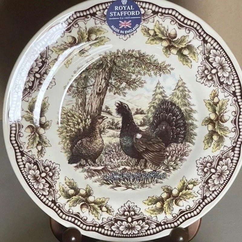 Royal Stafford Turkey Dinner Plates - Etsy