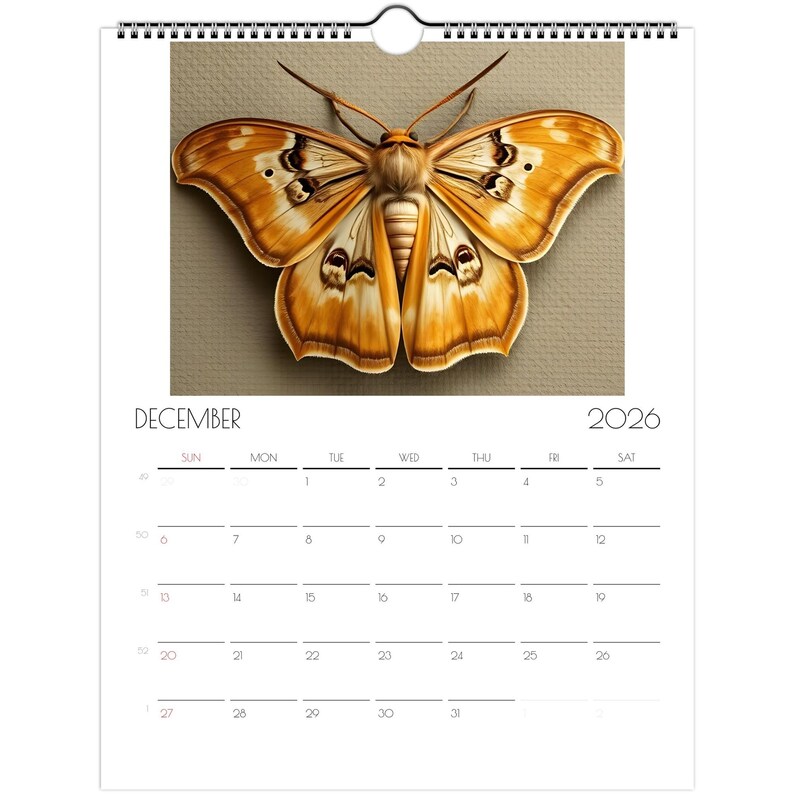 2026 Moths Calendar - Unique Wall Art (8.5"x11") - Etsy