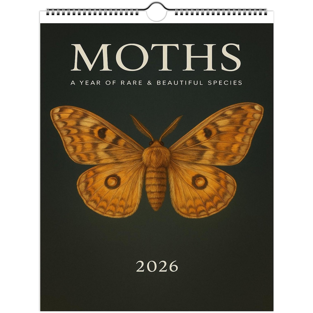 2026 Moths Calendar - Unique Wall Art (8.5"x11") - Etsy