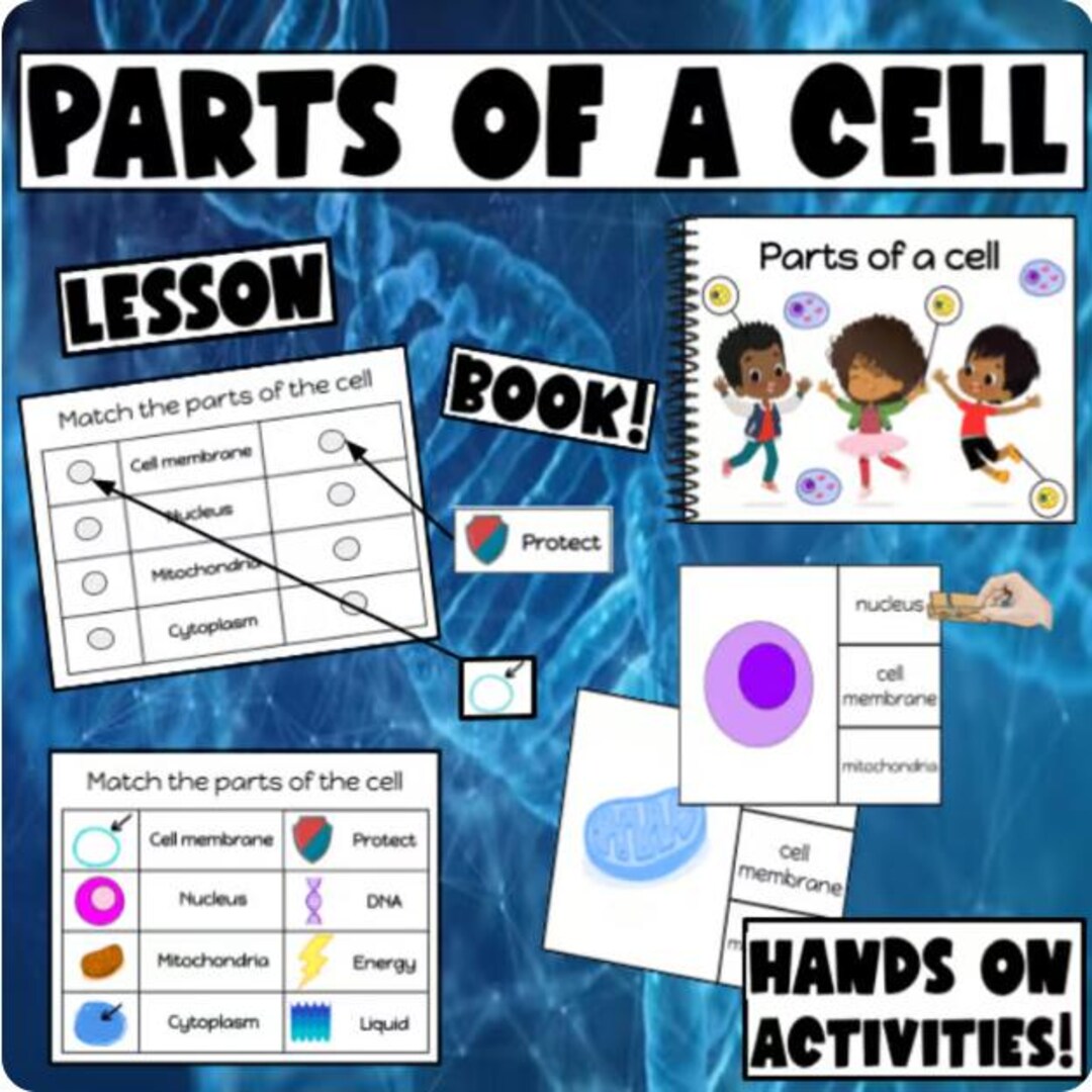 Labelling a Cell - Modified Science for Special Education - Parts of a ...